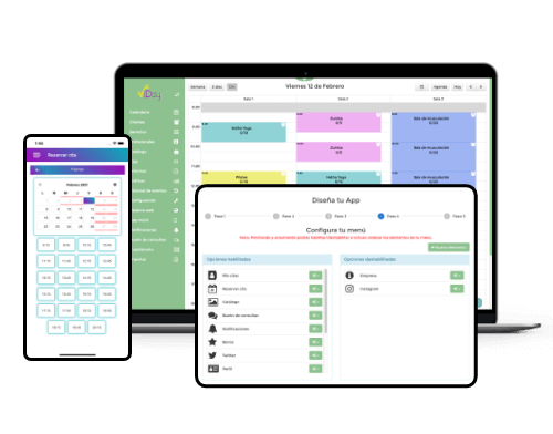 Características - Viday